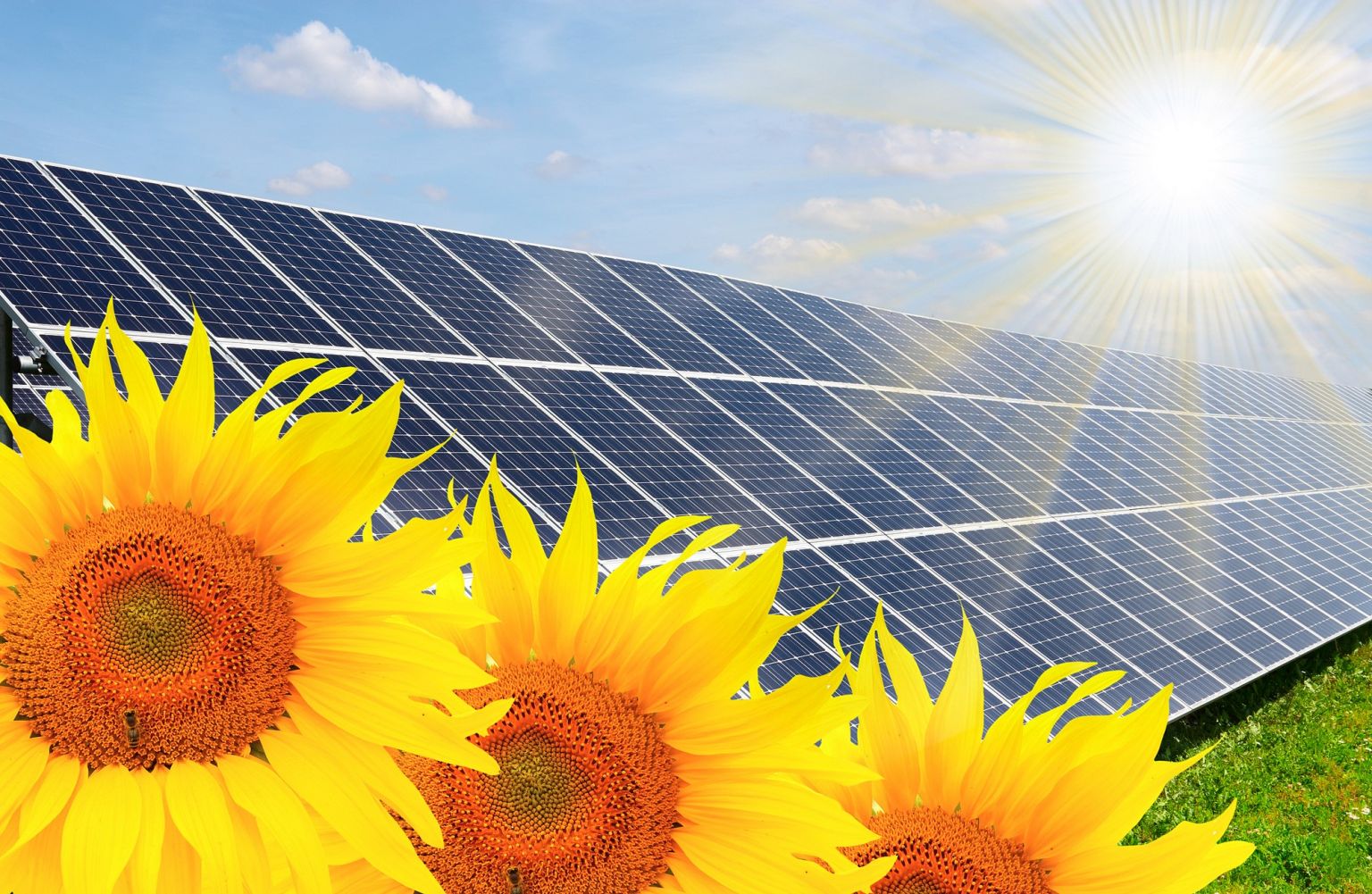Huawei Digital Power e Revo Energia ousam no Brasil com modelo ‘Energy ...